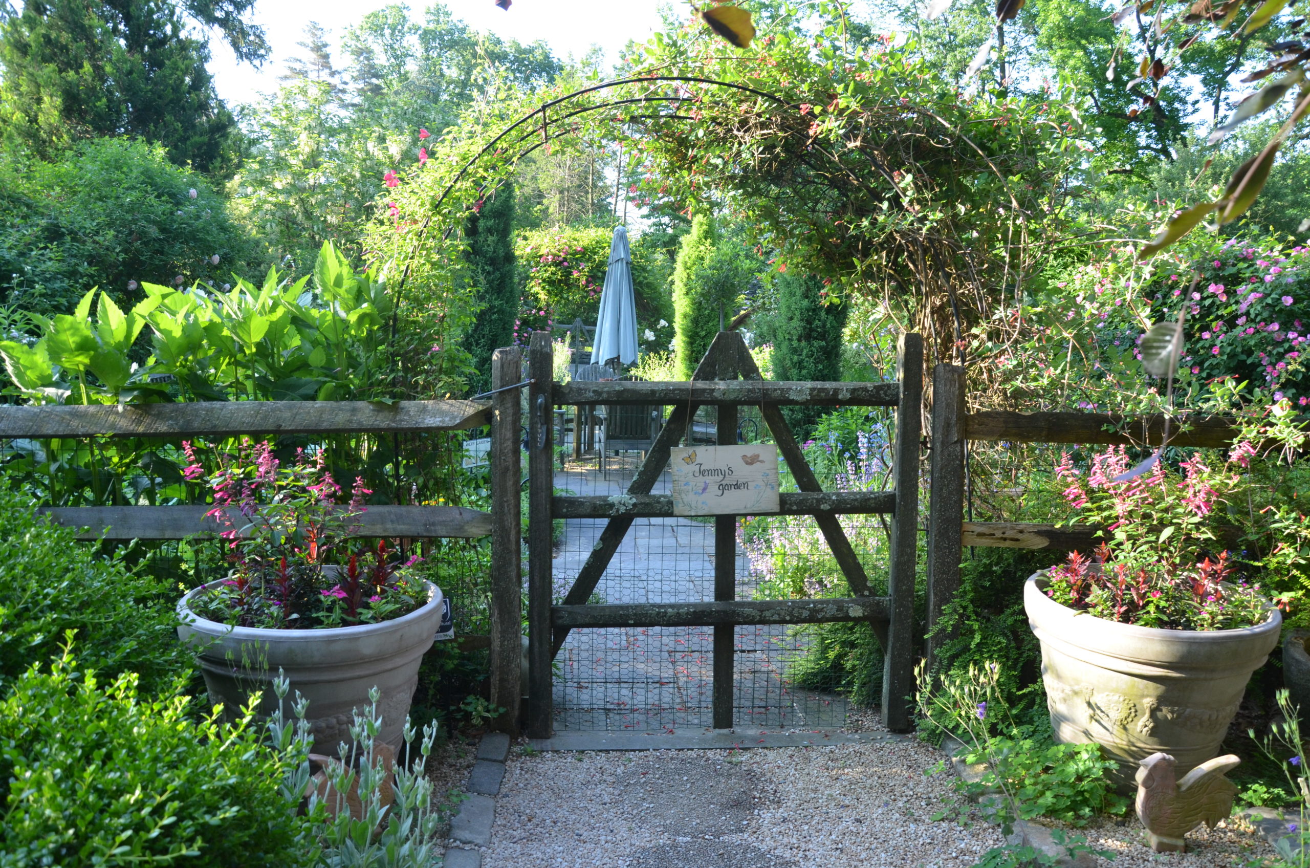 Open Gardens at Northview - Jenny Rose Carey