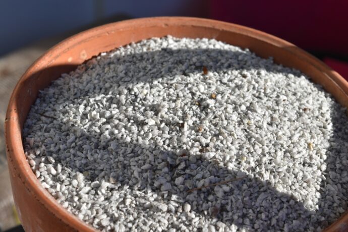 Winter Seed Sowing in Old Milk Jugs - Jenny Rose Carey